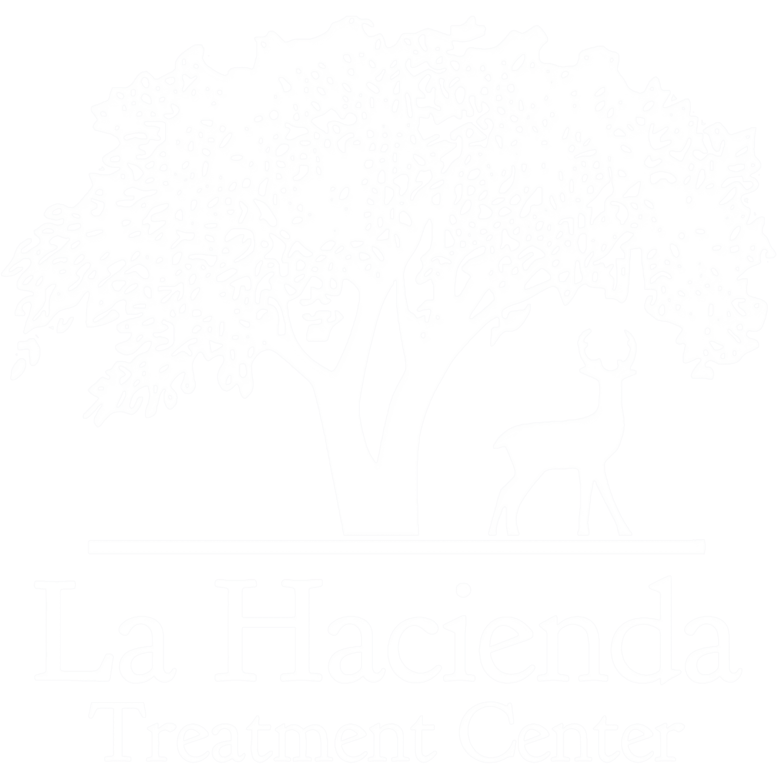 Addiction Treatment in Fredericksburg - La Hacienda